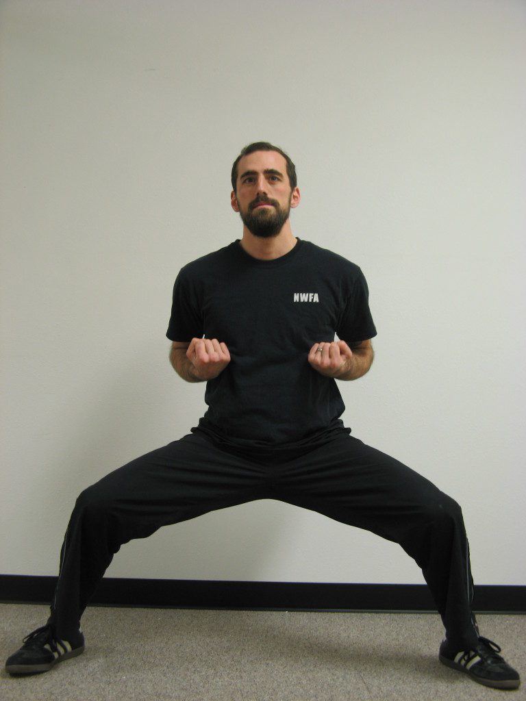 Yang 24 Form - Tai Chi Movement: Strike Ears with Both Fists Northwest ...