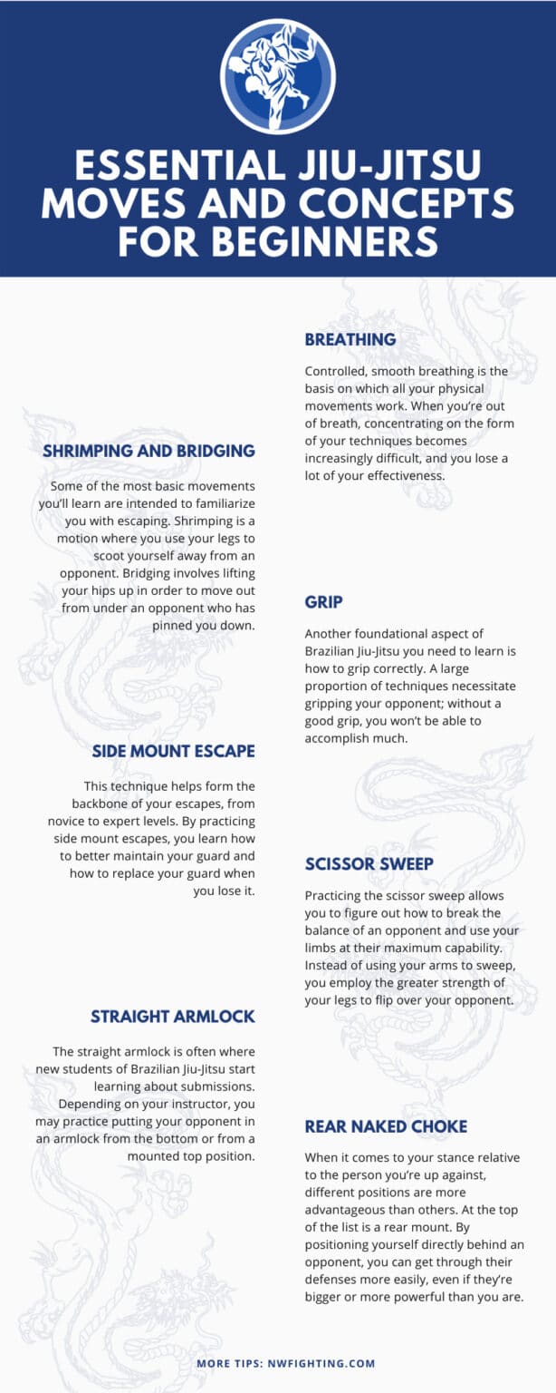 Essential Jiu-Jitsu Moves and Concepts for Beginners Northwest Fighting ...